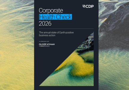 CDP Corporate Health Check Raporu 2026 | CDP Türkiye